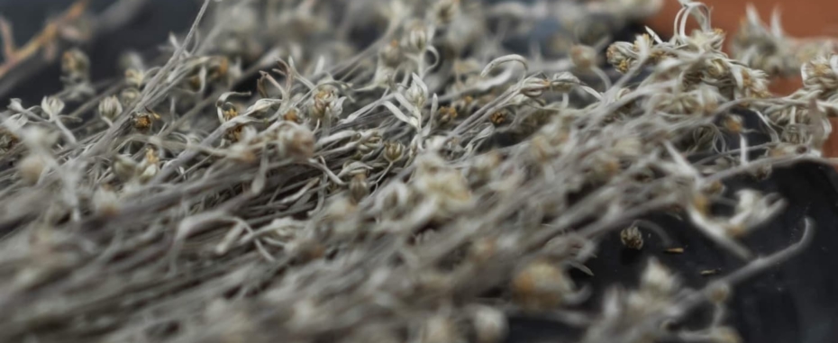 Recette du Génépi : une liqueur historique